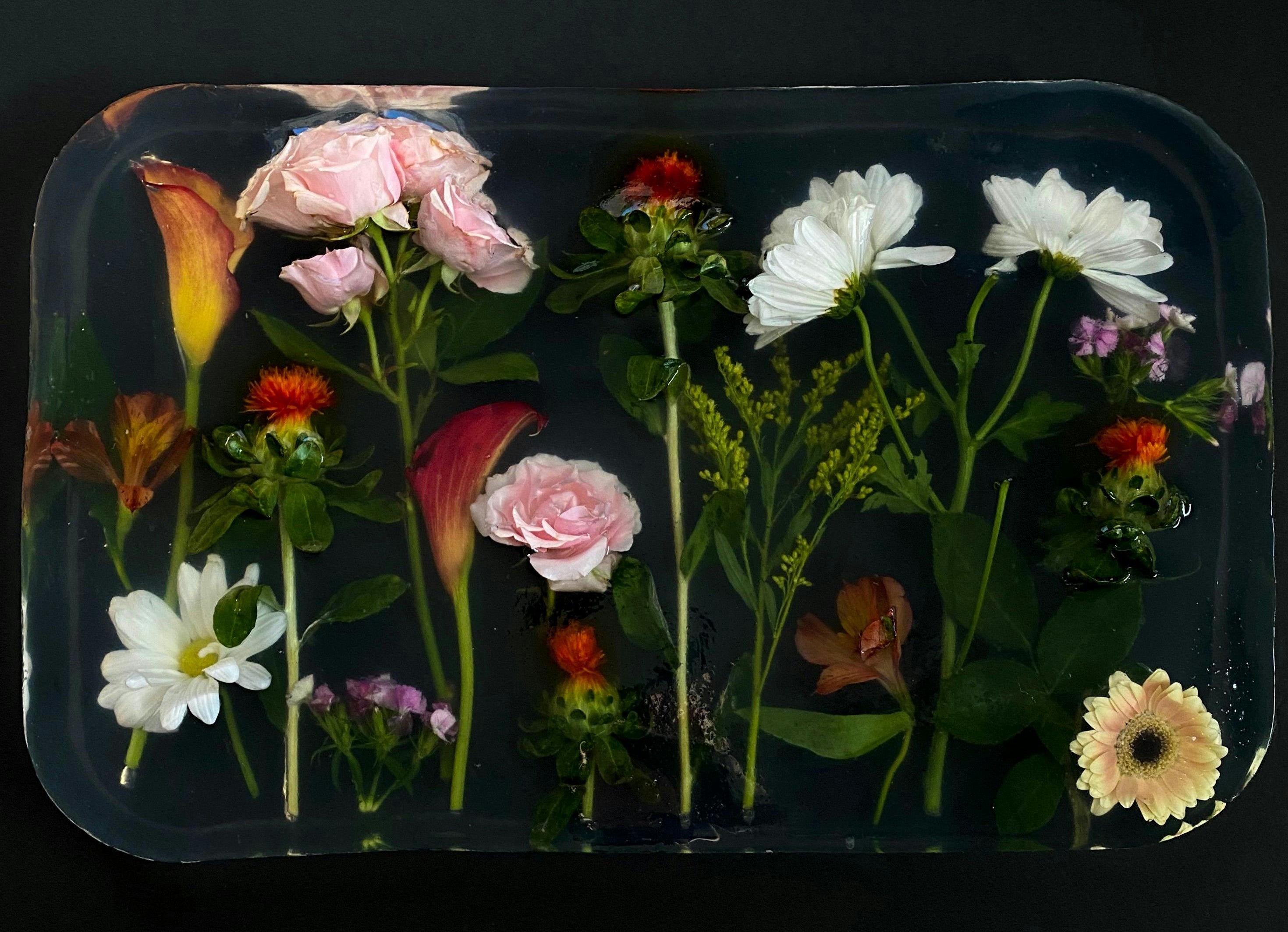 Fibreglass DIY - The Fibreglass Product Specialists – Fibreglass DIY ...